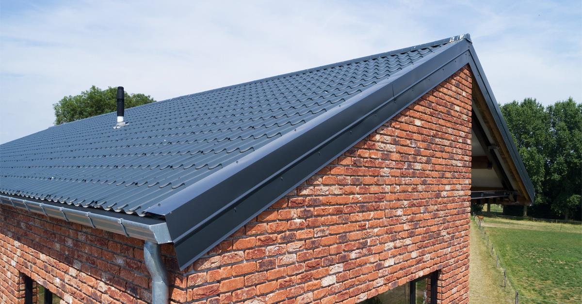 Boven het Hoofd: Een Reis door de Wereld van Dakplaten met Joris Ide